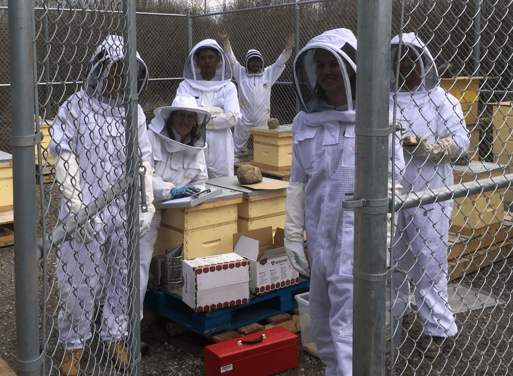 About our courses – About Bees